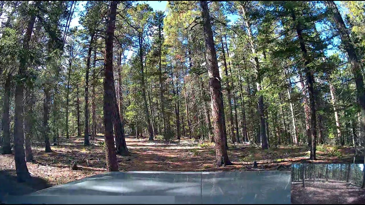 Trail exploring on Mt Herman video snip - YouTube