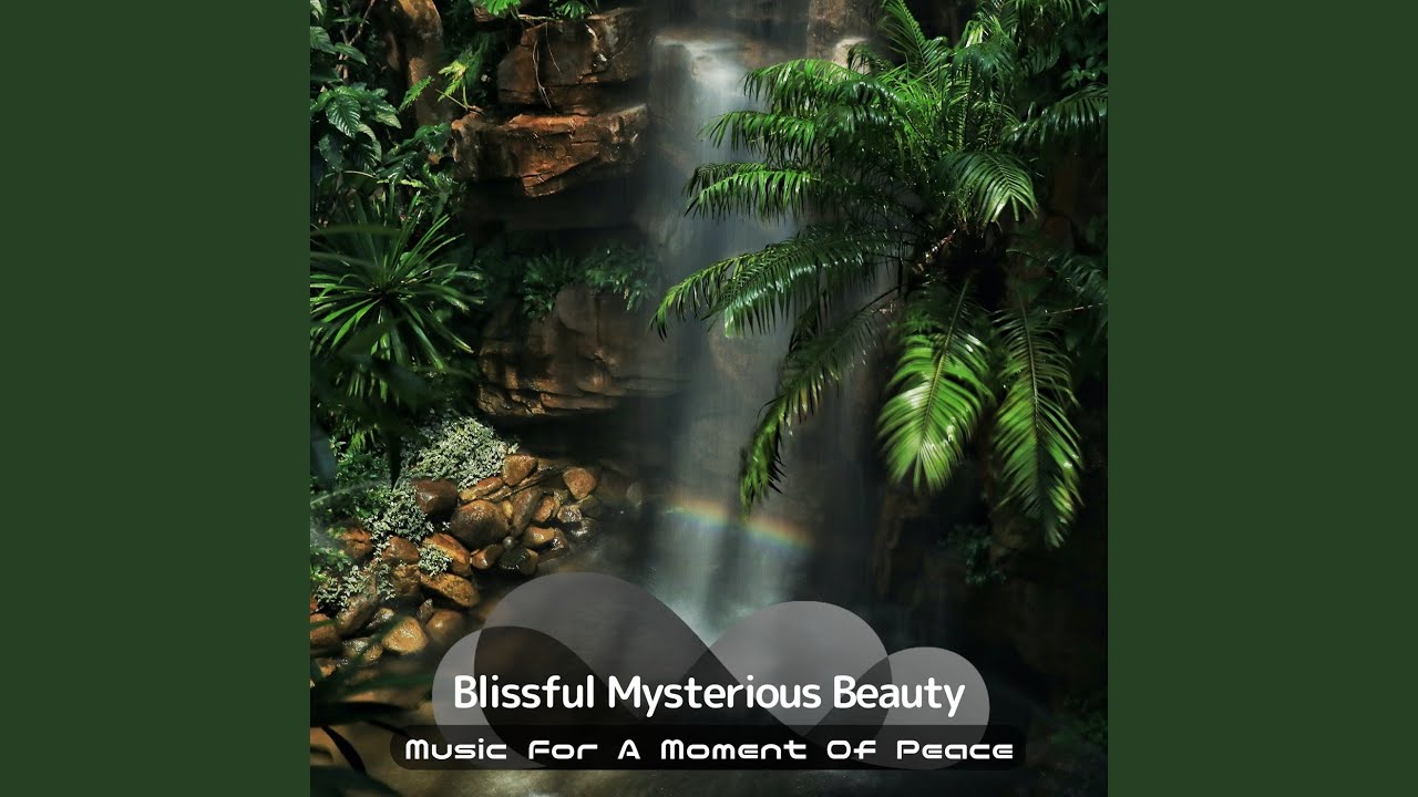 Solace in the Starlight Gleam - YouTube