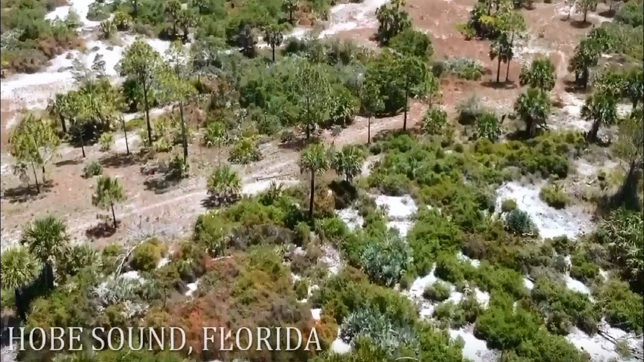 Hobe Sound, Florida Drone Footage - YouTube