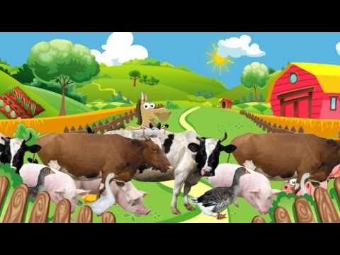 Old MacDonald Had A Farm - YouTube