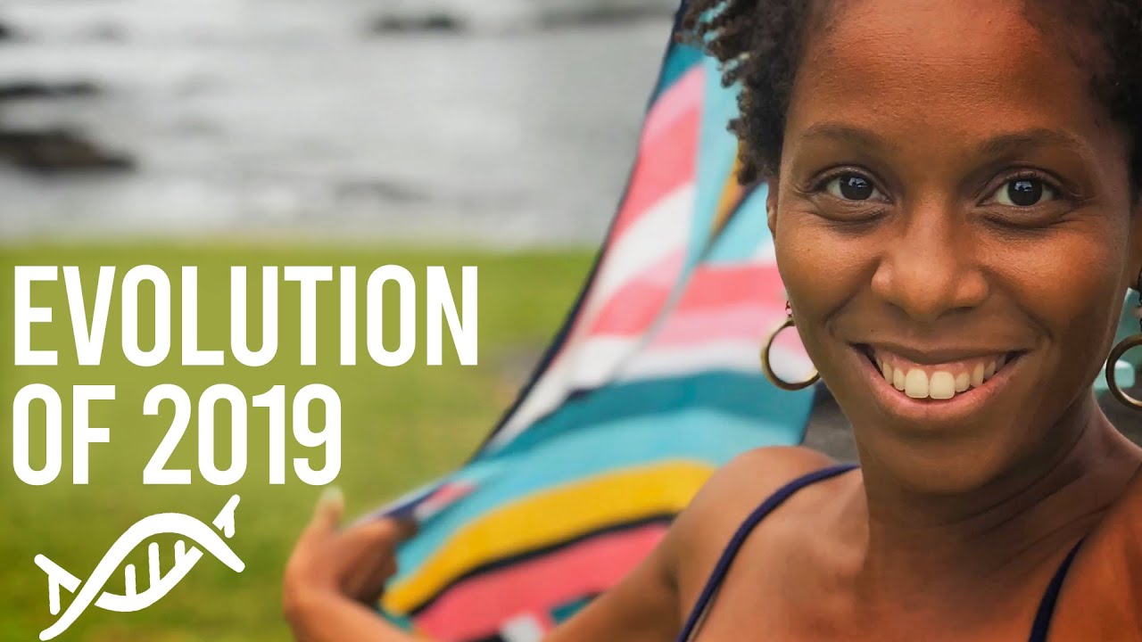 Evolution of 2019 - YouTube