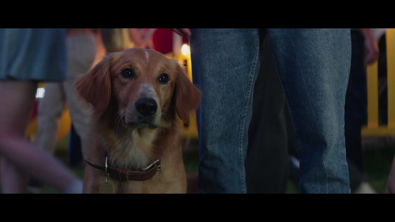 Clip A Dog's Purpose - Bailey Notices A New Smell On Ethan - YouTube
