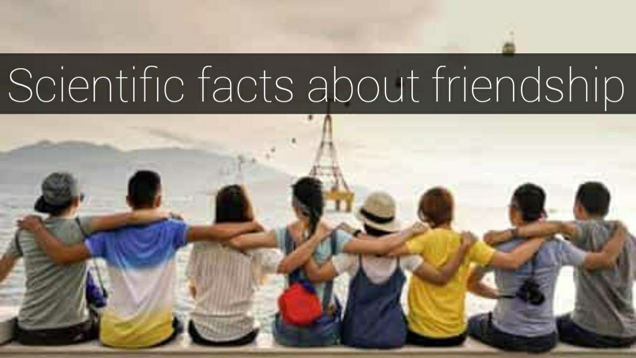 Scientific facts about friendship - YouTube