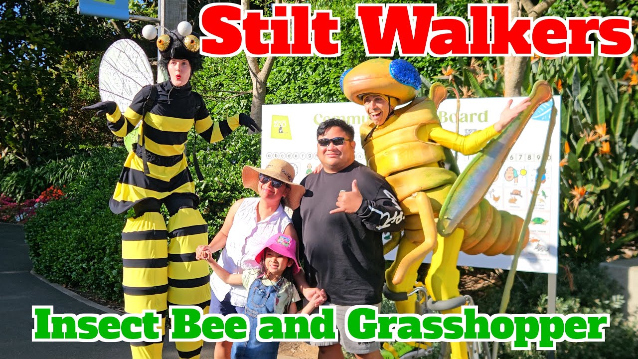 Insect Stilt Walkers | Roving Characters | Bee and Grasshopper Adelaide ...