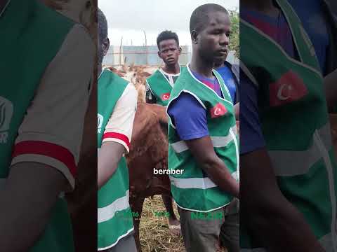 📍 Somali | 2026 Vacip Kurban Organizasyonu