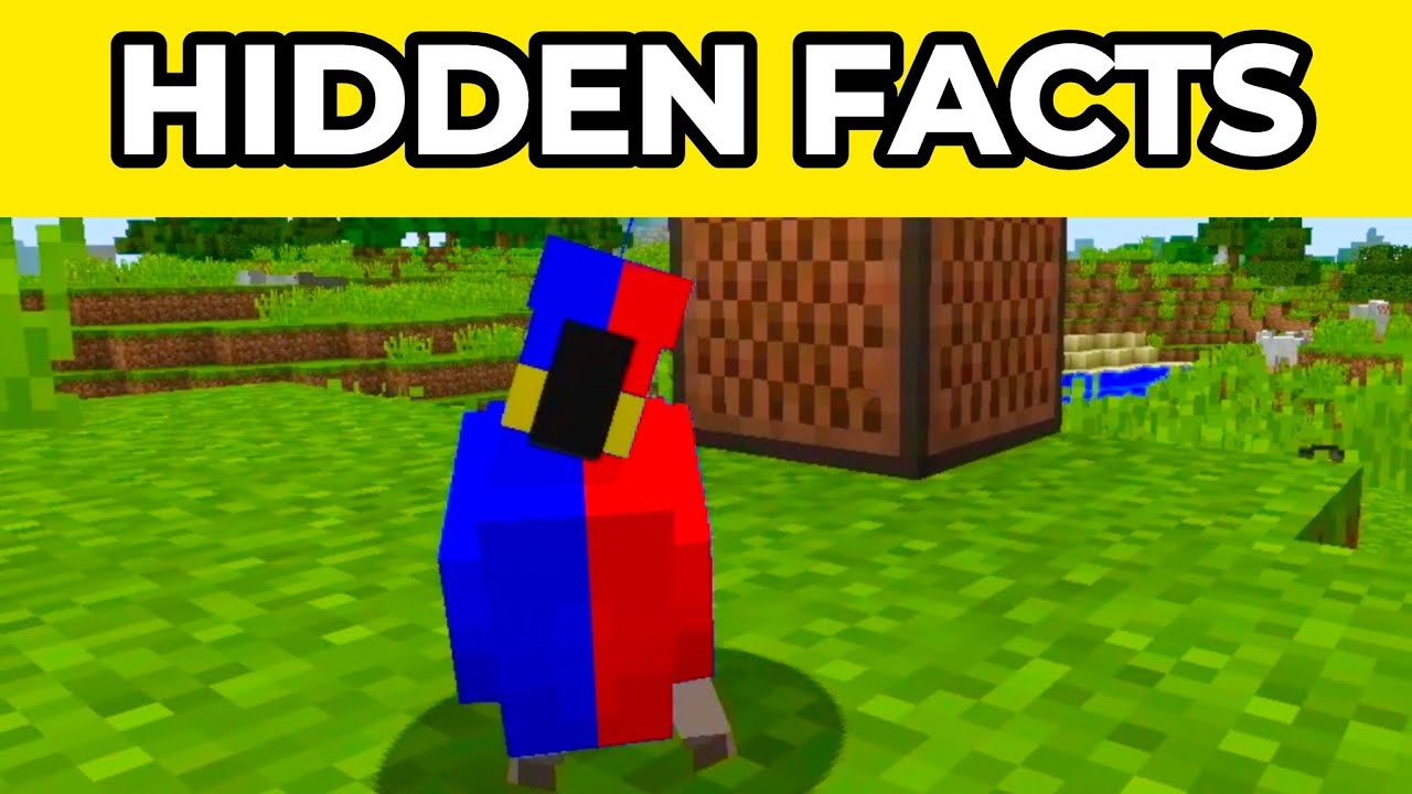 20 Hidden FACTS About PARROTS in #Minecraft You Didn’t Know - YouTube