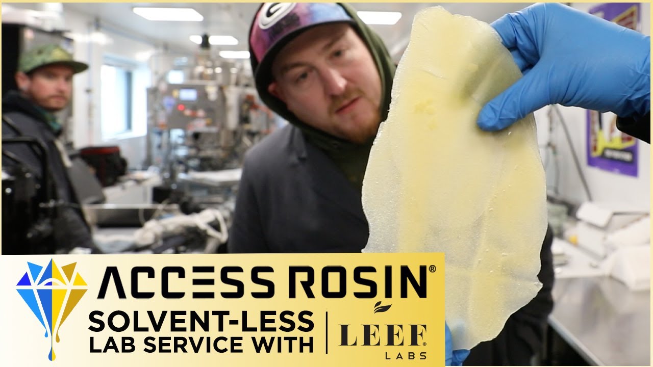 Solvent-less Lab Service with LEEF LABS | Access Rosin® - YouTube