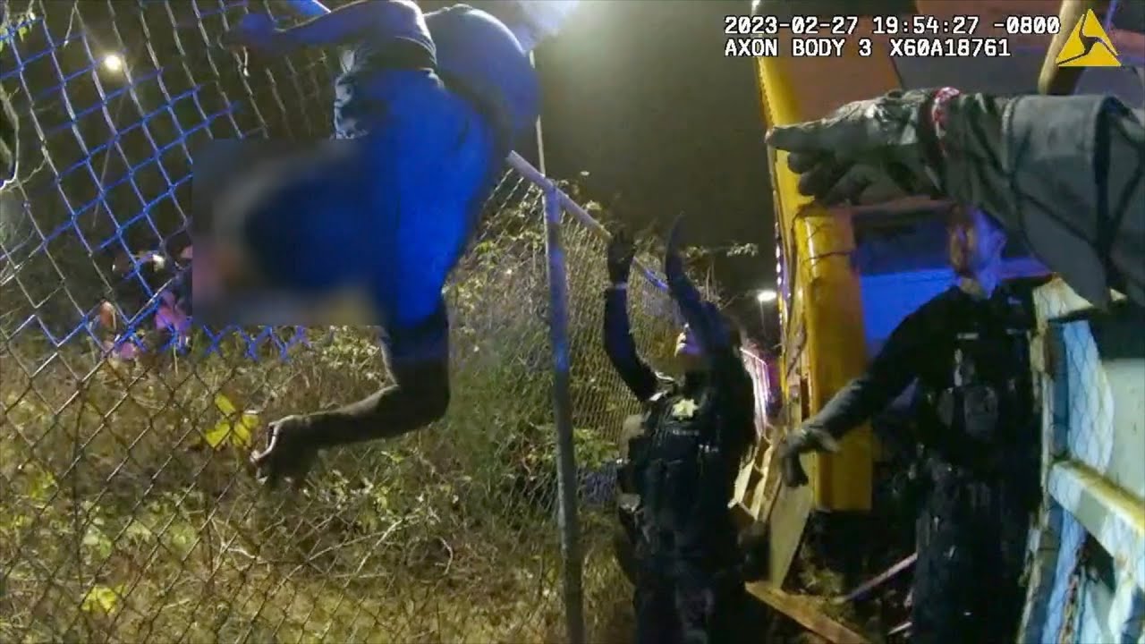 DUI PURSUIT ENDS IN STICKER BUSHES - YouTube