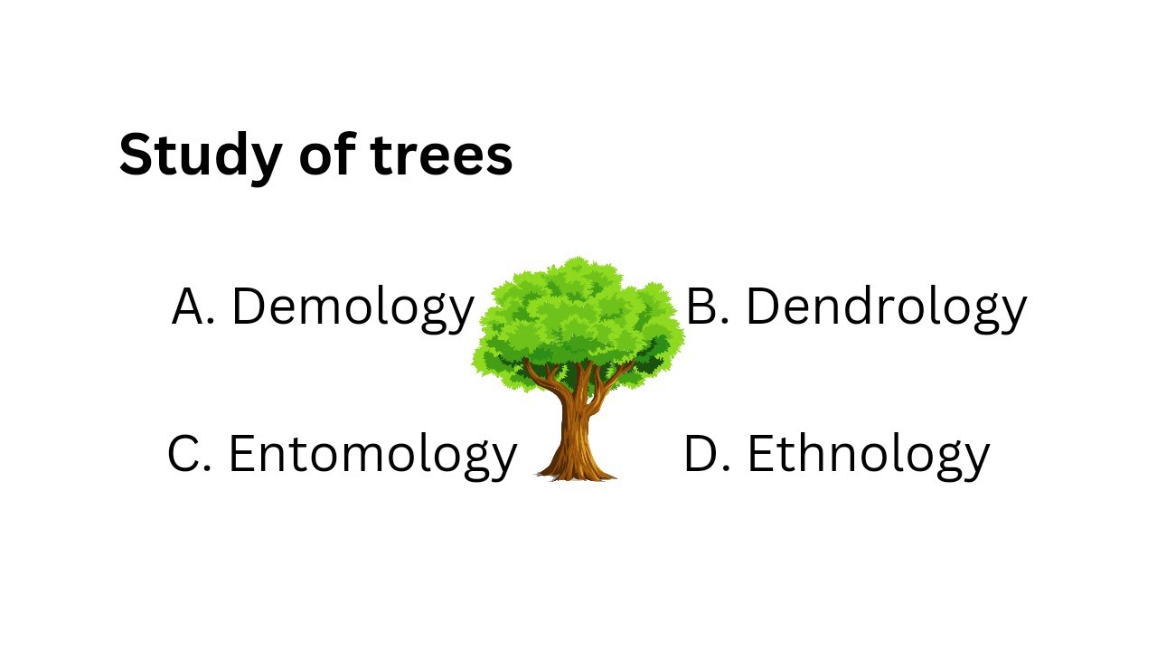 Study Of Different Fields - 5 // Different Types Of Studies And Their ...