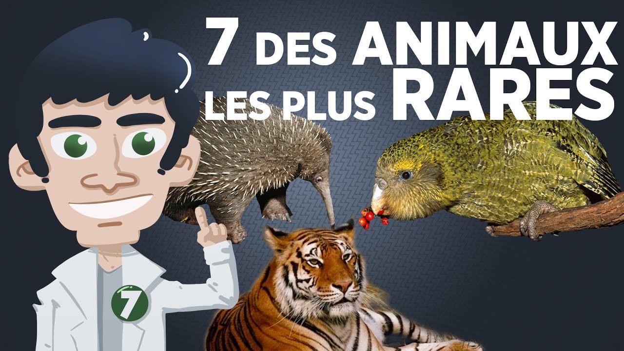7 des animaux les plus rares - YouTube