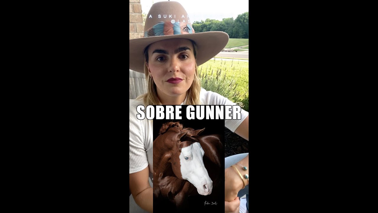 Gunner el famoso caballo de reining - Datos interesantes! - YouTube