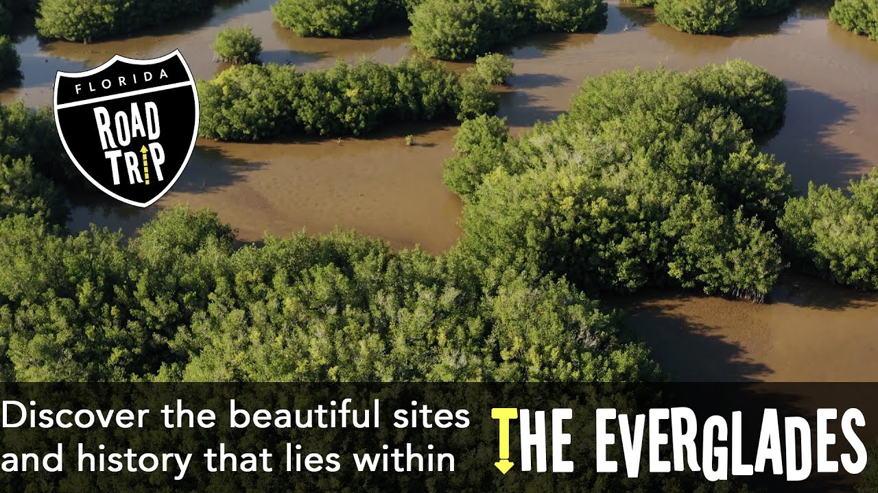 Journey through history to the Everglades National Park in Florida ...