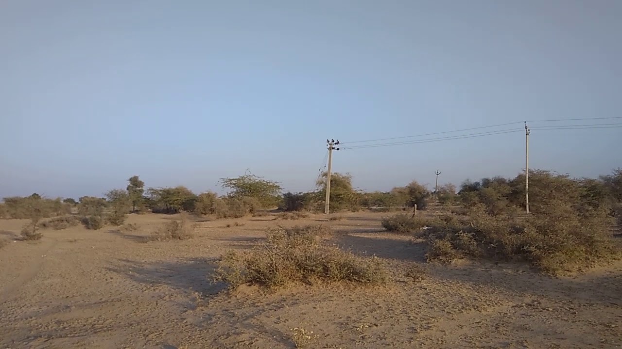 Marusthal BIKANER Rajasthan live - YouTube