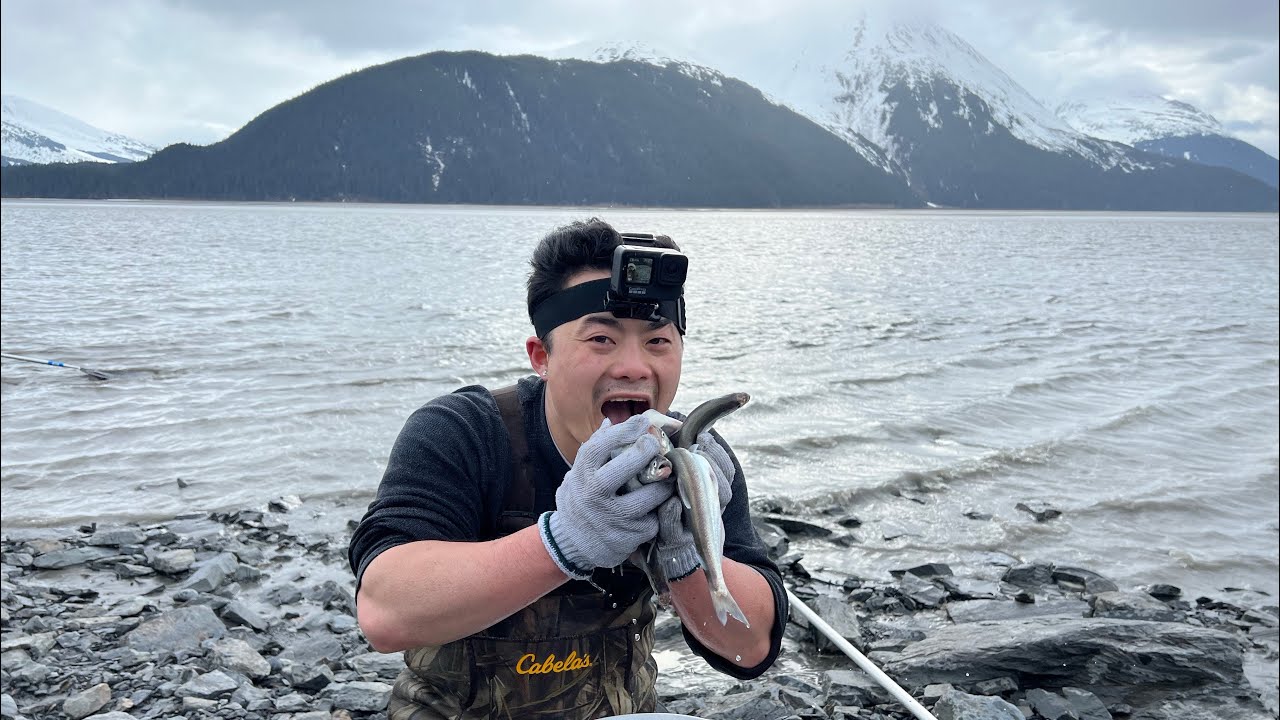 Dip netting for Hooligans in Alaska! (May 6th 2023) #netting #hooligans ...