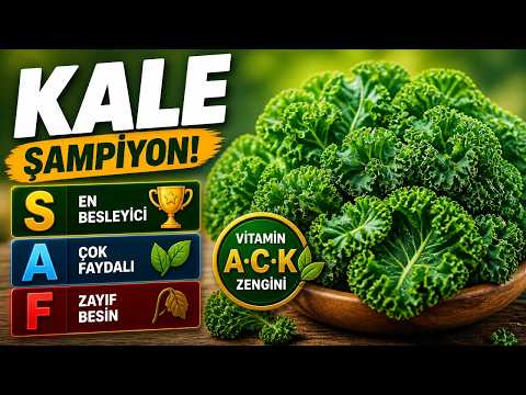 Pratik Beslenme İpuçları, Kale, Kıvırcık Lahana, 9 FaydasıProf.Dr.Serdar Akgün