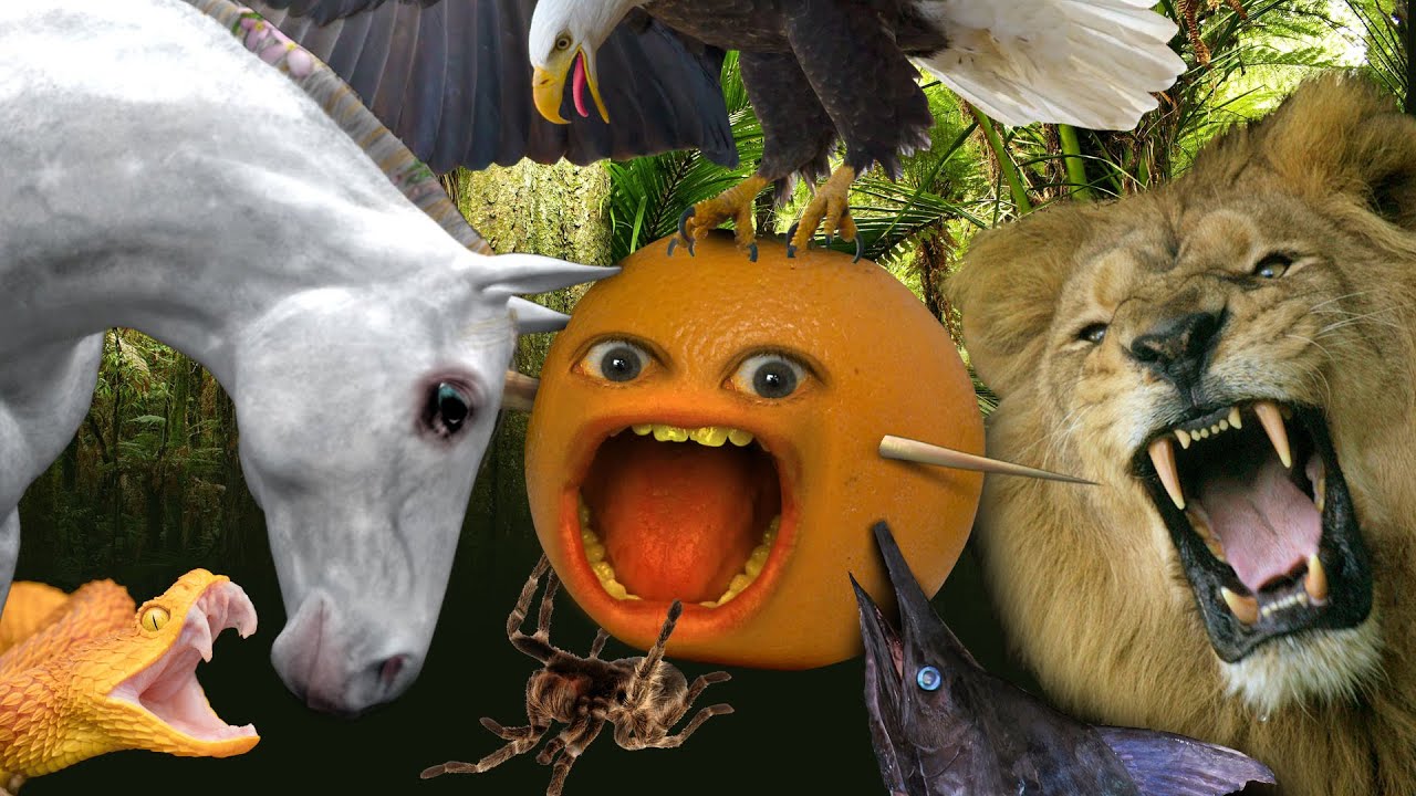 Annoying Orange - When Animals Attack!! - YouTube