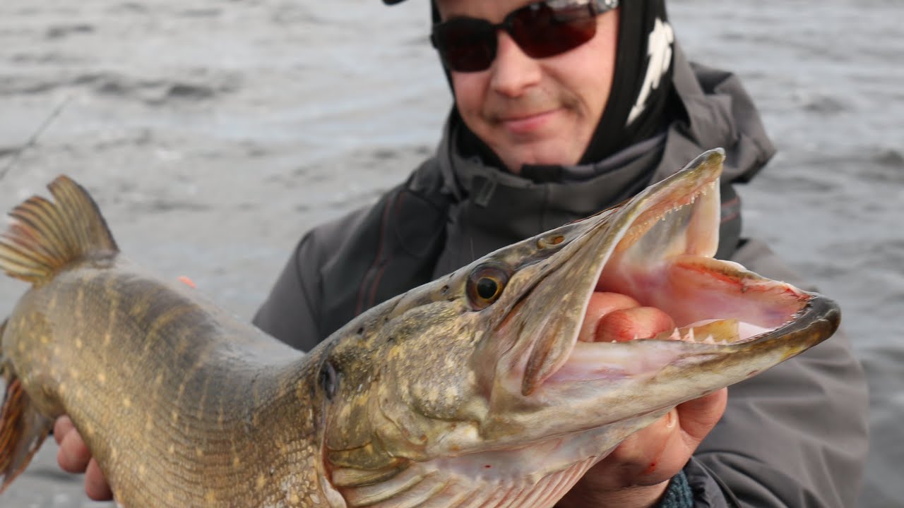 On the water with Roypow on Lough Erne - catching pike and perch - YouTube