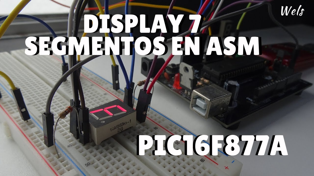 DISPLAY 7 SEG en ASM - TUTORIAL PIC16F877A - Wels Theory - YouTube