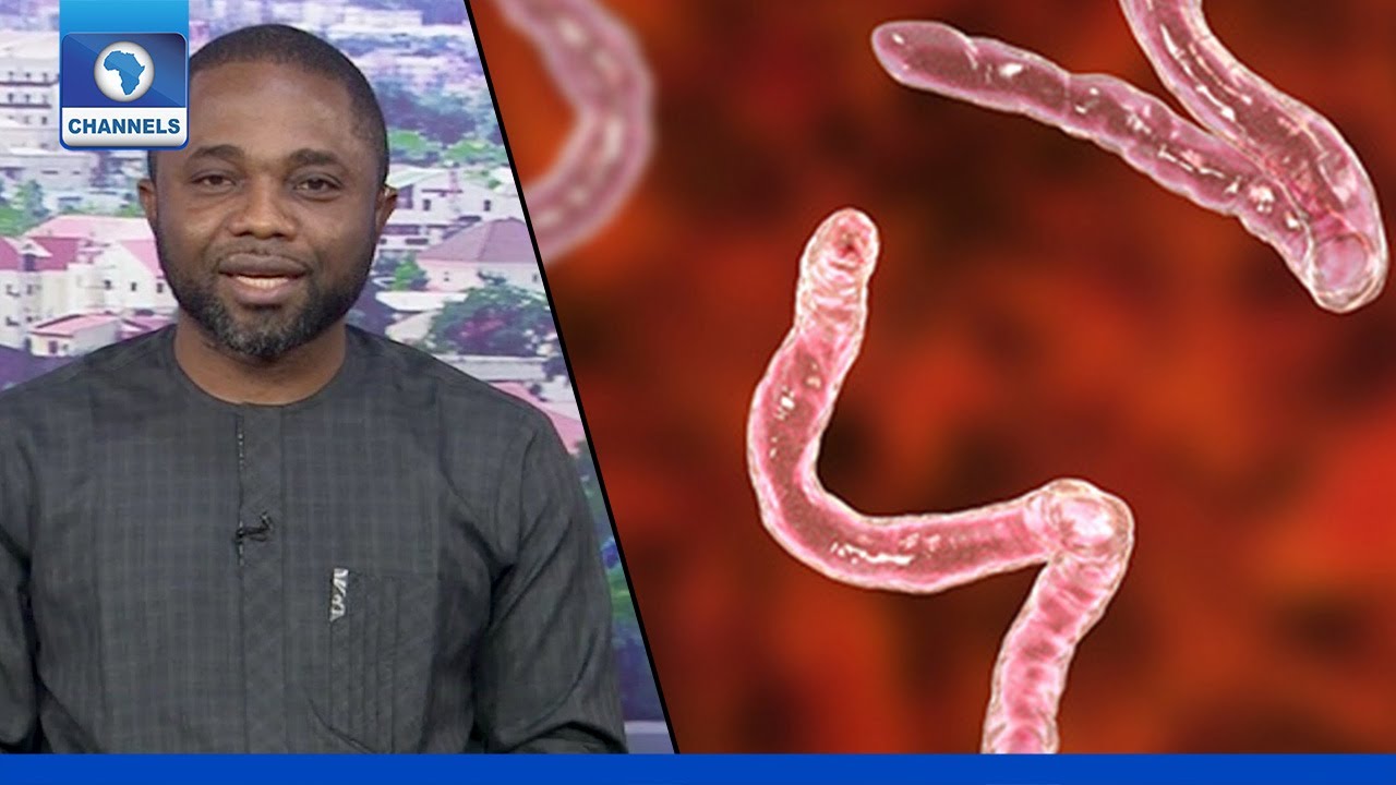 Why Deworming Is Necessary For Your Child - Family Physician | Health ...