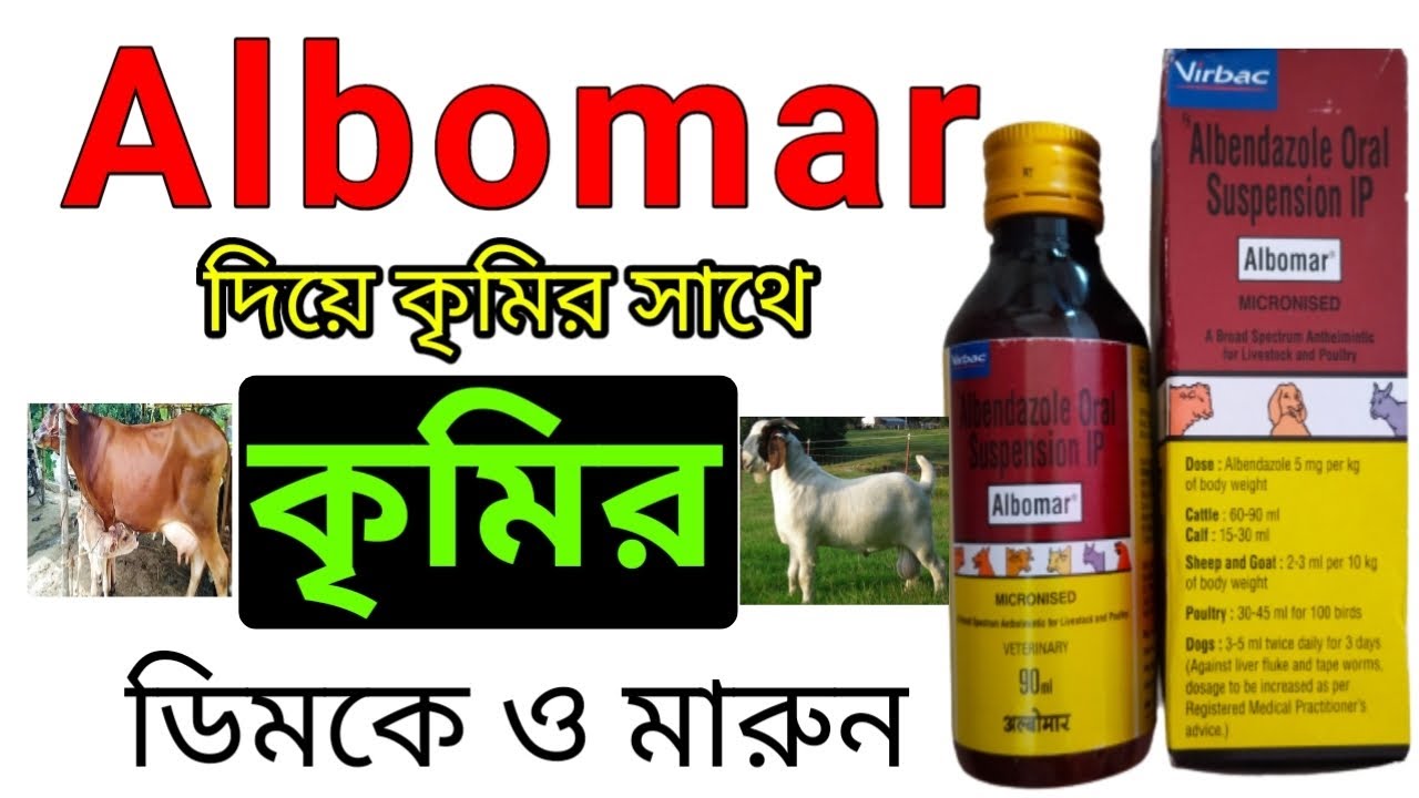Albomar Use benifits Side-effects in bangla|আলবমার সিরাপ|Albomar Liquid ...