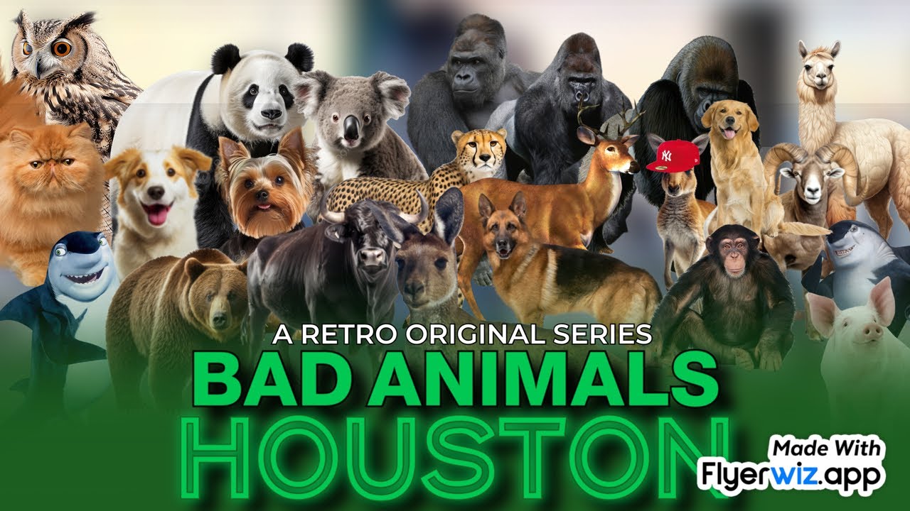 Bad Animals Houston Intro - YouTube