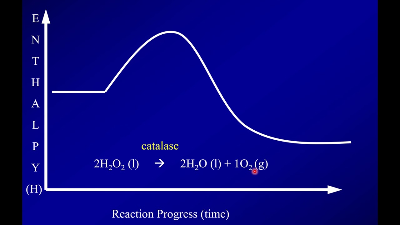 Catalyst Lesson - YouTube