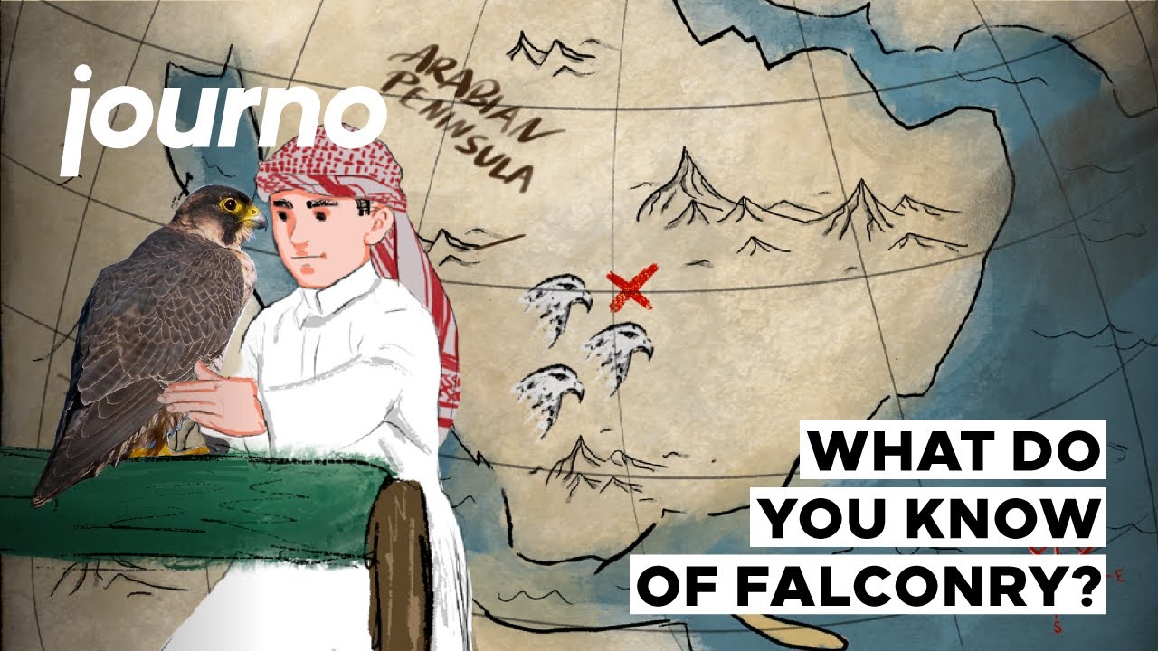 What Do You Know of Falconry? - YouTube