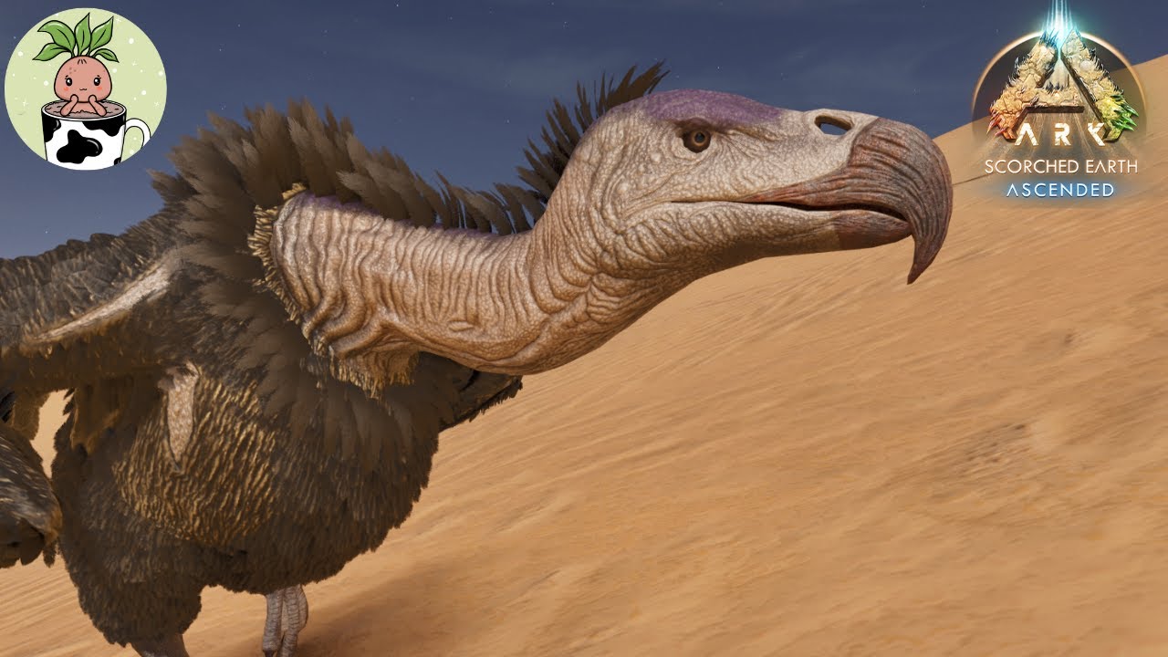 Ark Survival Ascended [Scorched Earth] - Ep 9 - Vulture Taming ...
