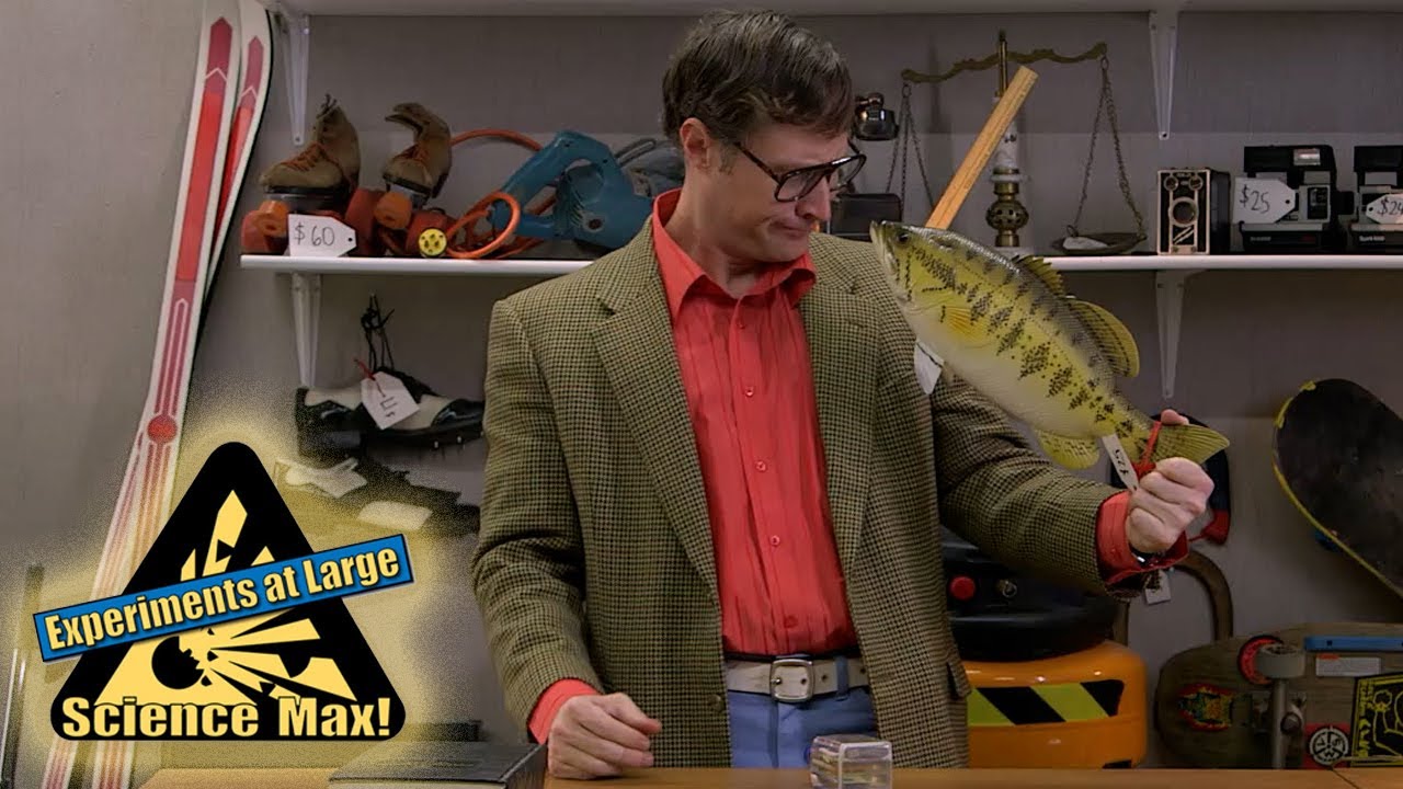 Best Of Sal's Science Shop | Season 1| Science Max - YouTube