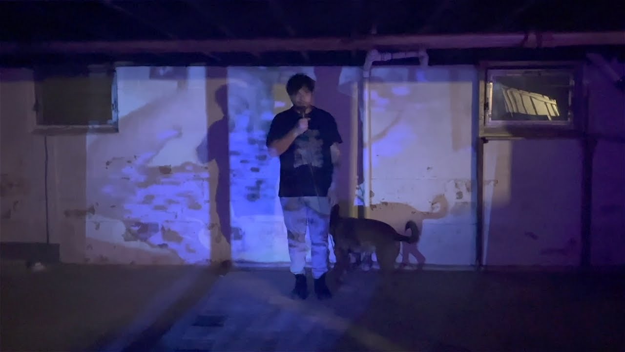 Rew - Quiet All The Time (ALBUM VIDEO) - YouTube