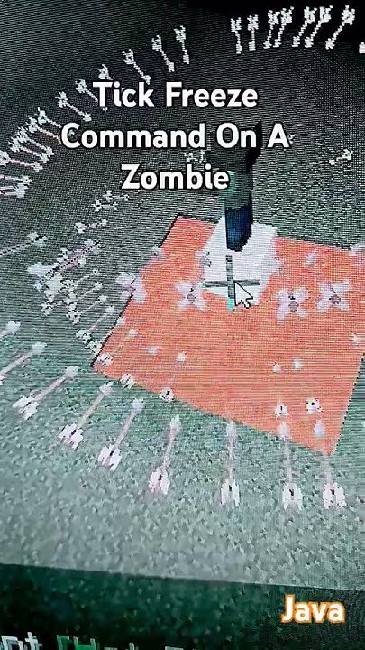 /Tick Freeze Command On A Mine Craft Zombie! #minecraft # ...