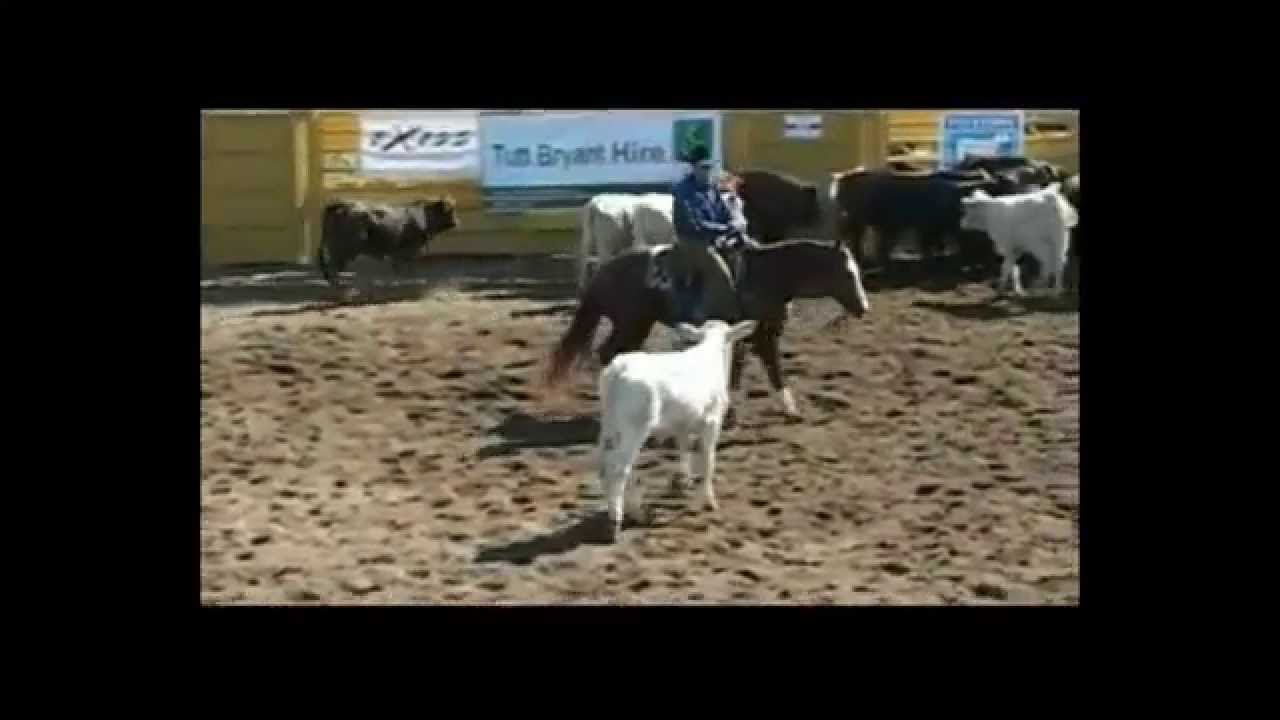 Hard Hat Henry Comet 2012 Open Cutting - Todd Graham - YouTube