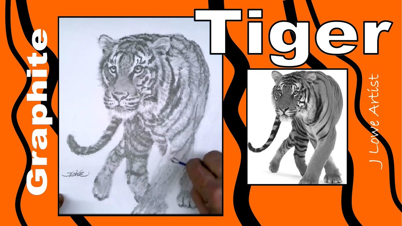 Tiger Drawing Tutorial with Graphite Pencil - YouTube