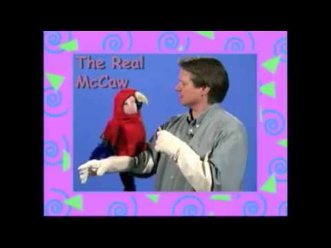 Real Macaw Puppet by Axtell Expressions