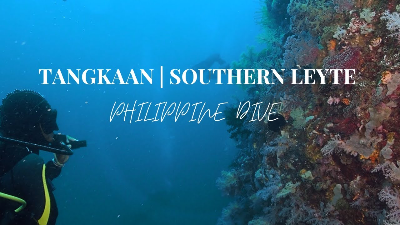 Philippine Dive | Tangakaan | Southern Leyte - YouTube