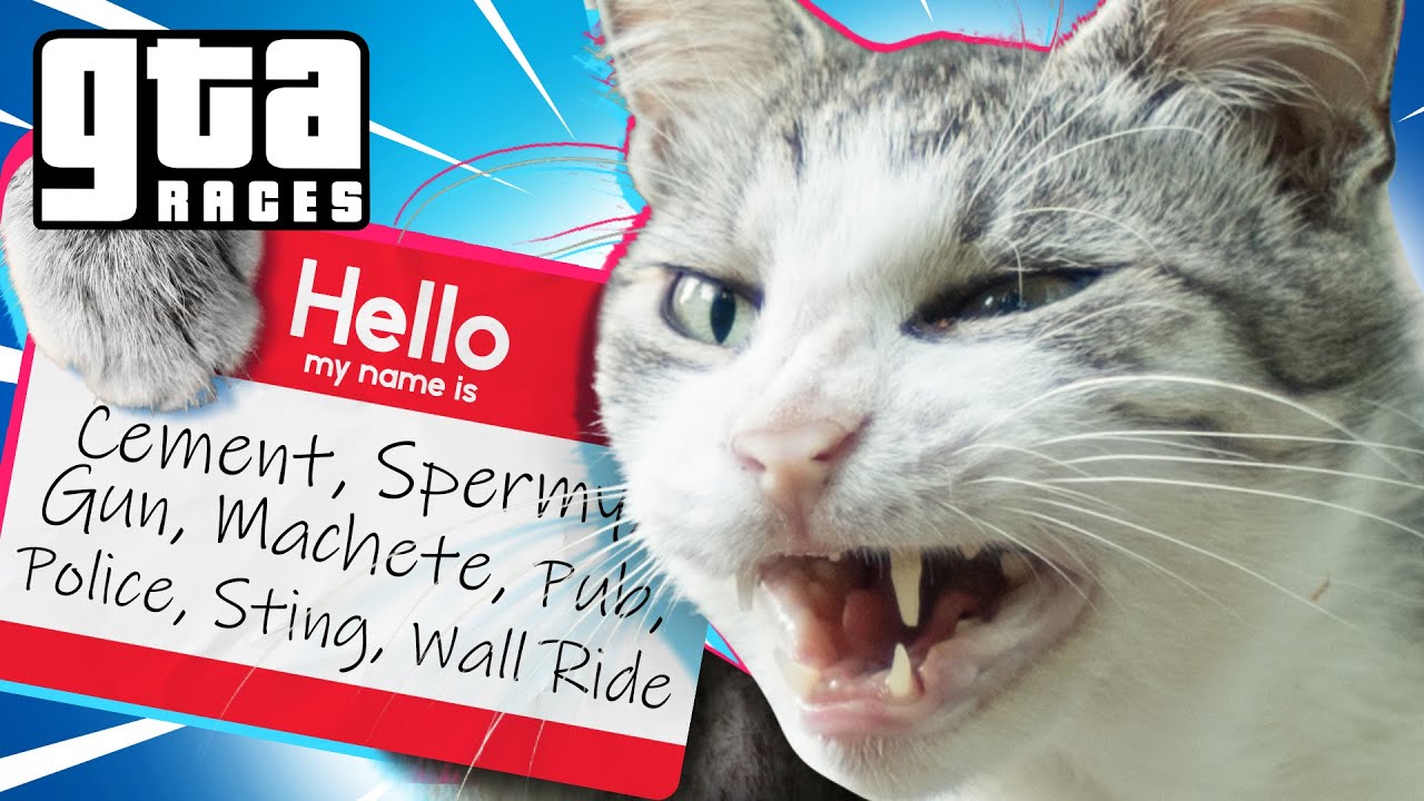 How many names does YOUR cat have?! | GTA 5 - YouTube