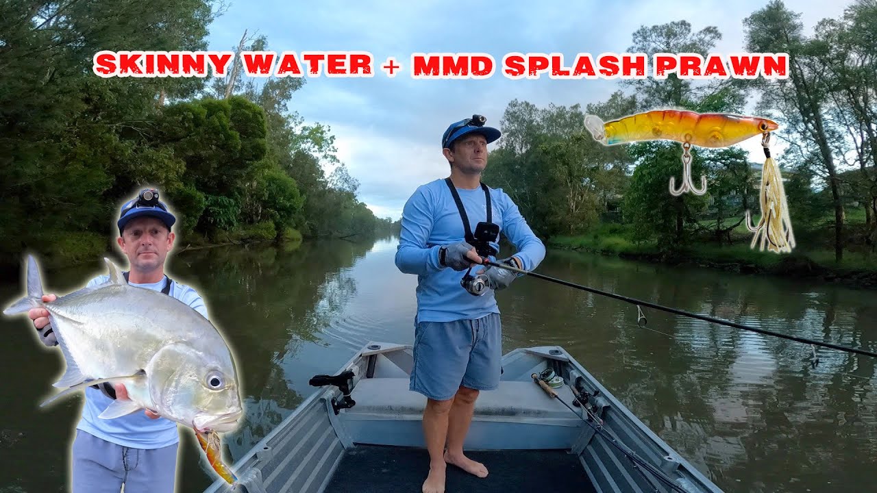 Skinny water + MMD Splash Pawn = Big fish !! Epic Gold Coast topwater ...