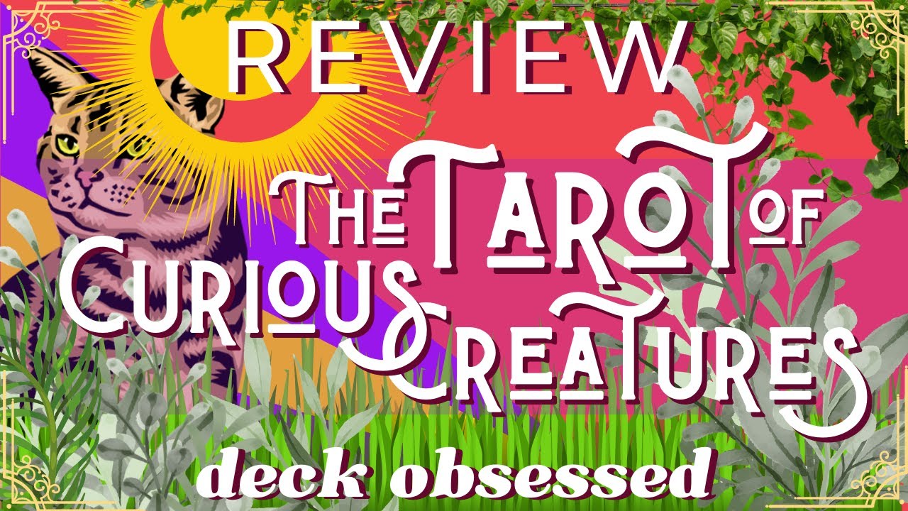 Review: The Tarot of Curious Creatures, a Whimsical, Fun, & Humorous ...
