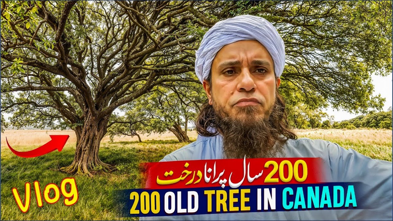 200 Years Old Tree In Canada Watch Full Vlog 2025 - Mufti Tariq Masood ...