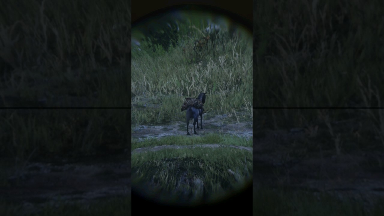 carcano rifle zooming rdr2. - YouTube