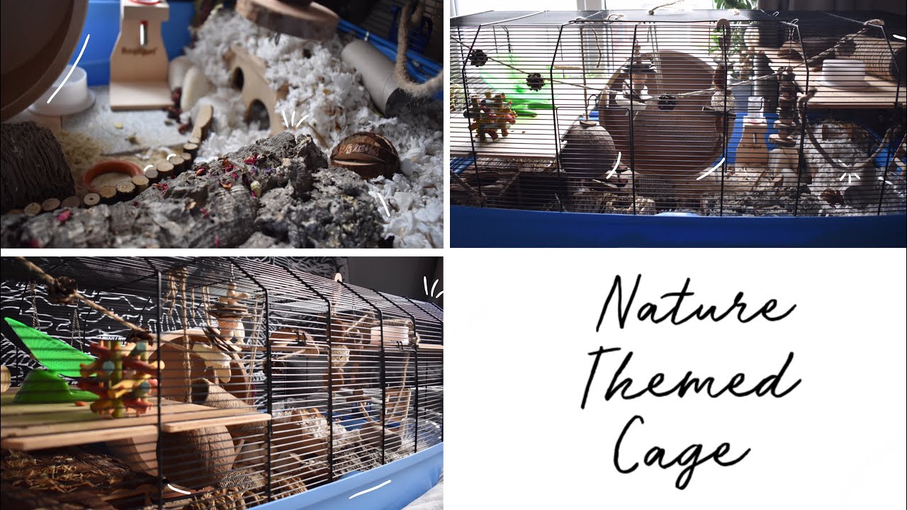 Mice Natural Cage Theme - YouTube