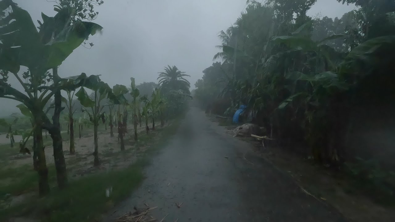 Walking in Super Heavy Rain in Bangladesh Village | Rainy Day Village ...