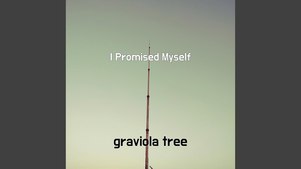 I Promised Myself - YouTube