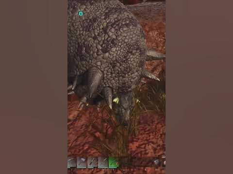 Dangerous High Level Doedicurus Tame - YouTube