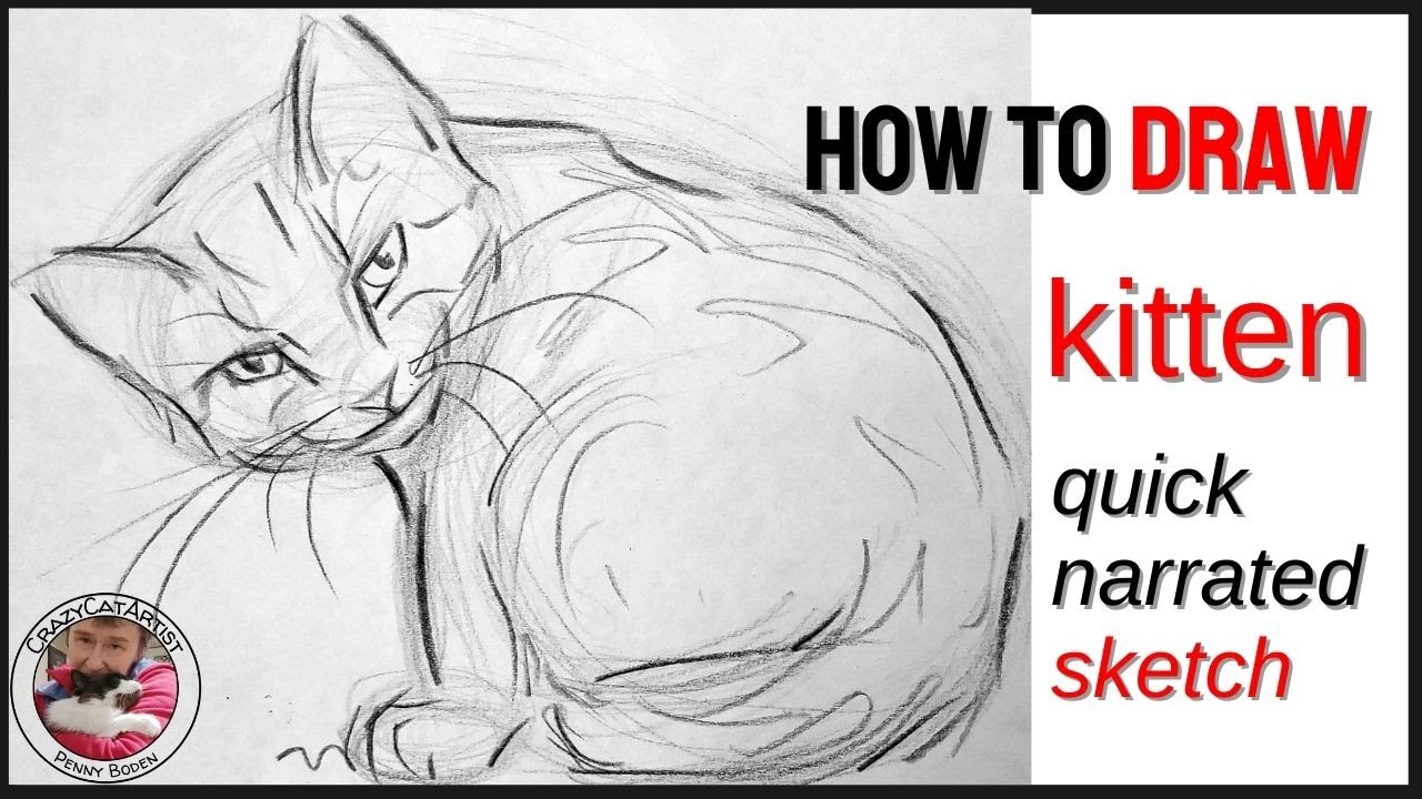 How to Draw Sitting Kitten Glaring | Face Forward Full Body Side View ...