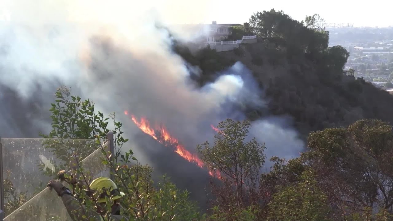 Brush Fire Prompts Evacuation Warnings In University Heights Area - YouTube