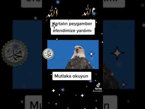 ES-SELAM ALEYKÜM HAYIRLI GÜNLER DİLERİM ÂMİN 🤲🌹❤🌹💐