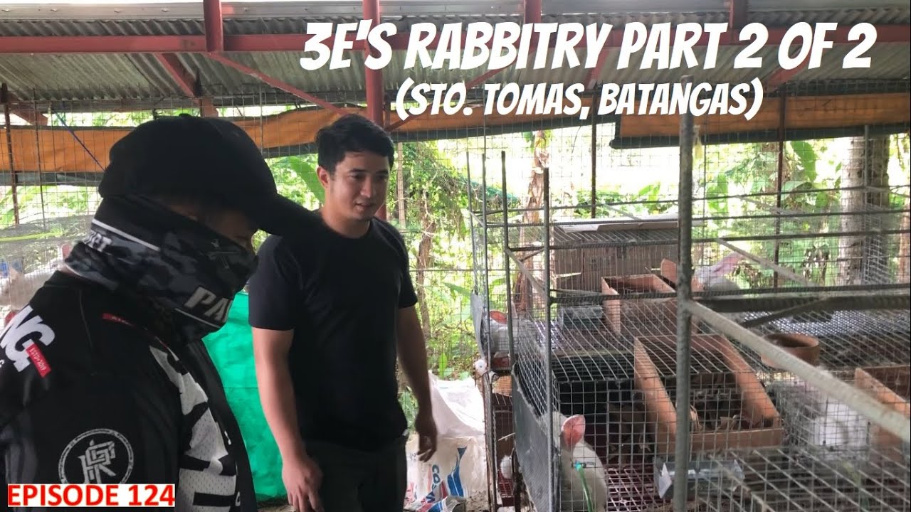 RABBIT FARMING - 3E'S RABBITRY PART 2 OF 2 - YouTube