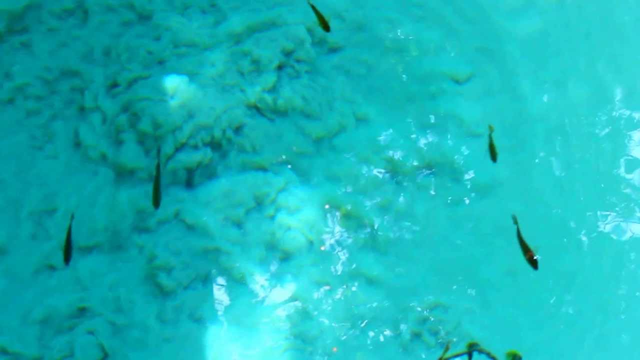 Natural Underground Spring Bubbling Up To The Surface - YouTube