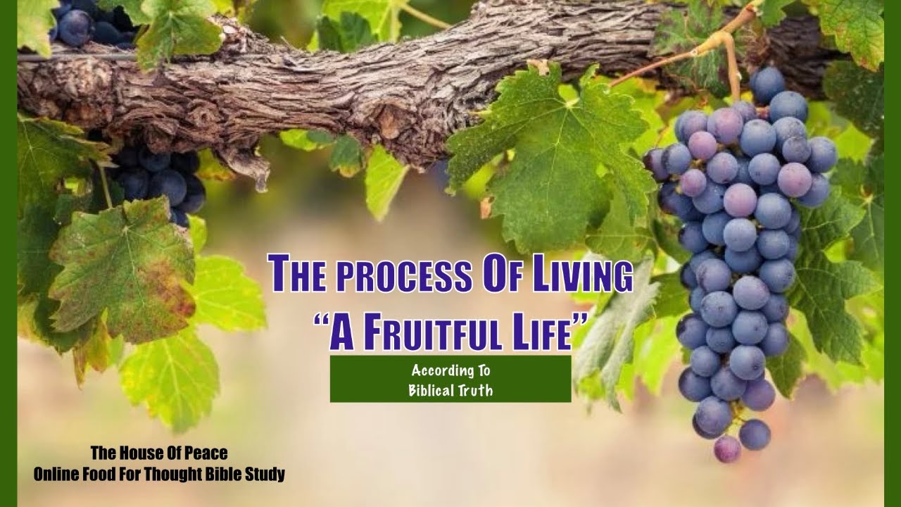 The Process Of Living A “Fruitful Life” According To Biblical Truth ...